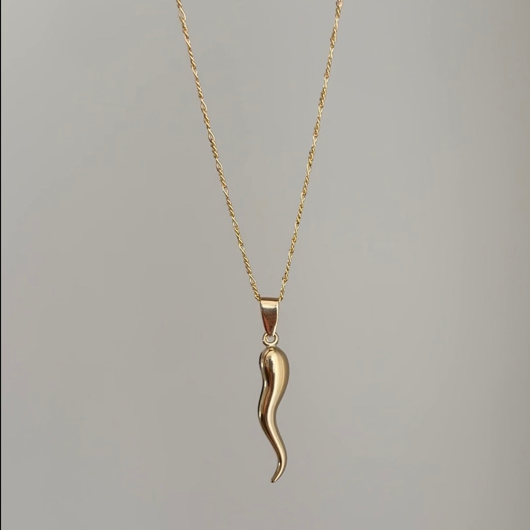 Chilli Horn Cornicello Necklace – Astrid Montague™